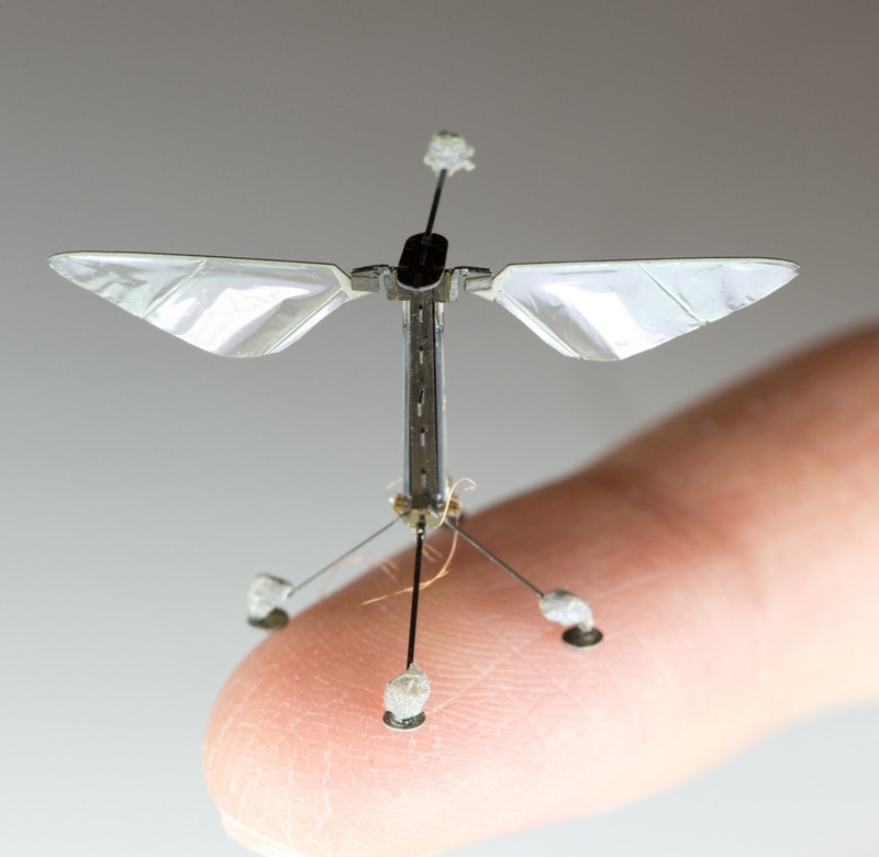 Interesting Faacts: Flying Microrobots (RoboBees)