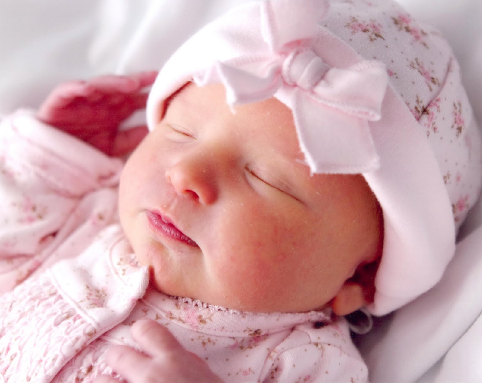 Adam D. Watson (Author of Lollygagged and Flannel Flogged)