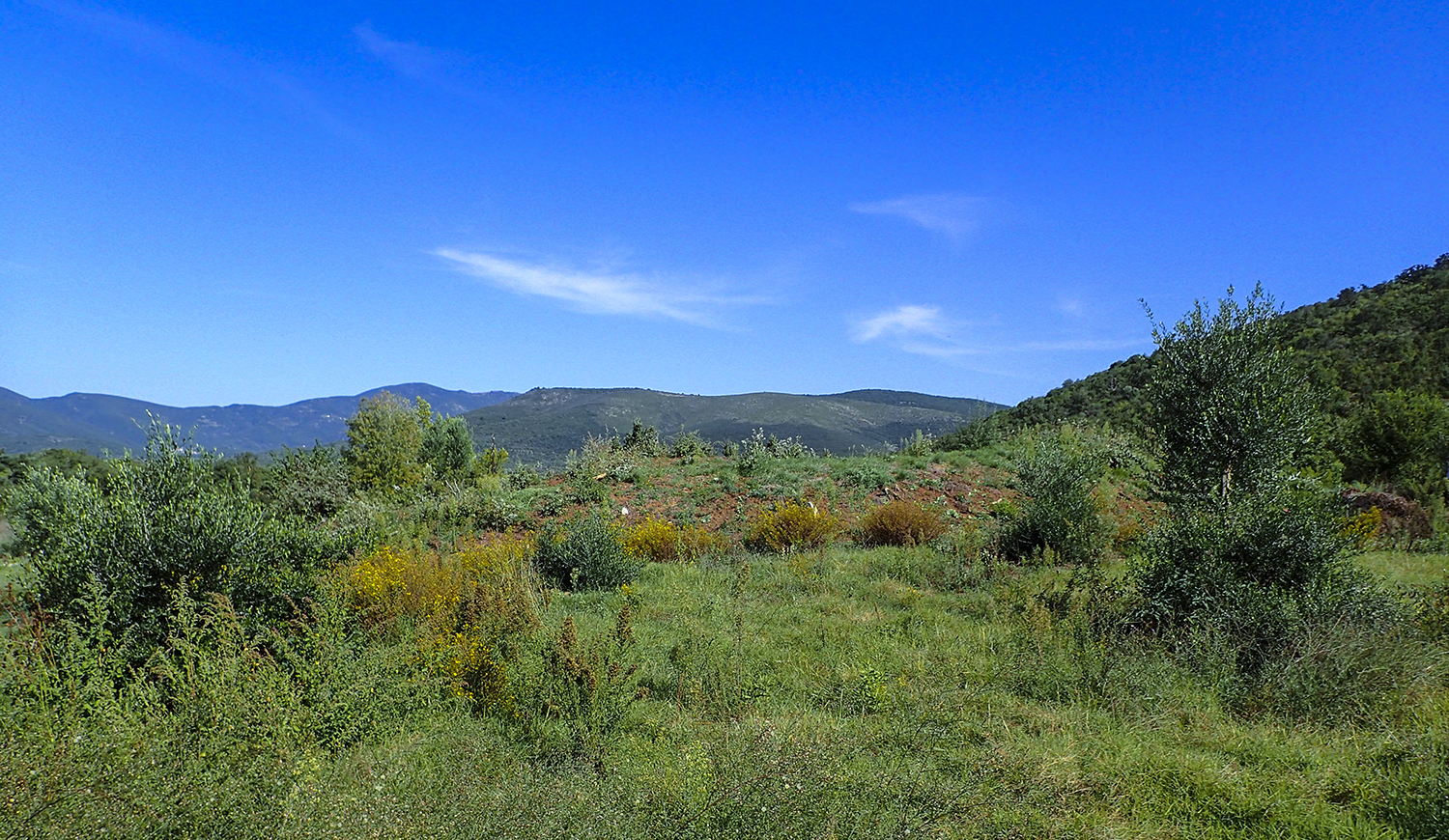 Mycenaean Atlas Project: Tholos II at Malthi (C307)