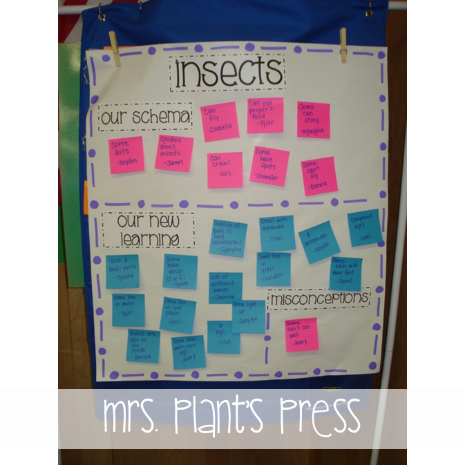 We've Gone Buggy! - Primary Press