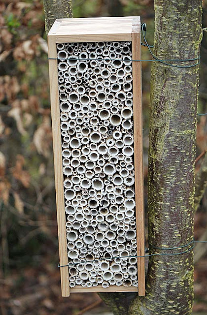 A Guide to Garden Wildlife: Programme Three: Hedges