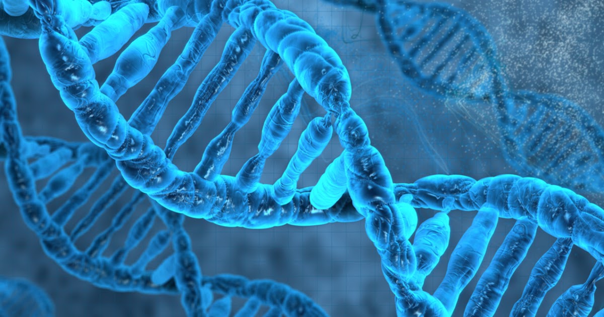 How ‘Tissue’ became my favourite poem in the AQA anthology: Approaches ...