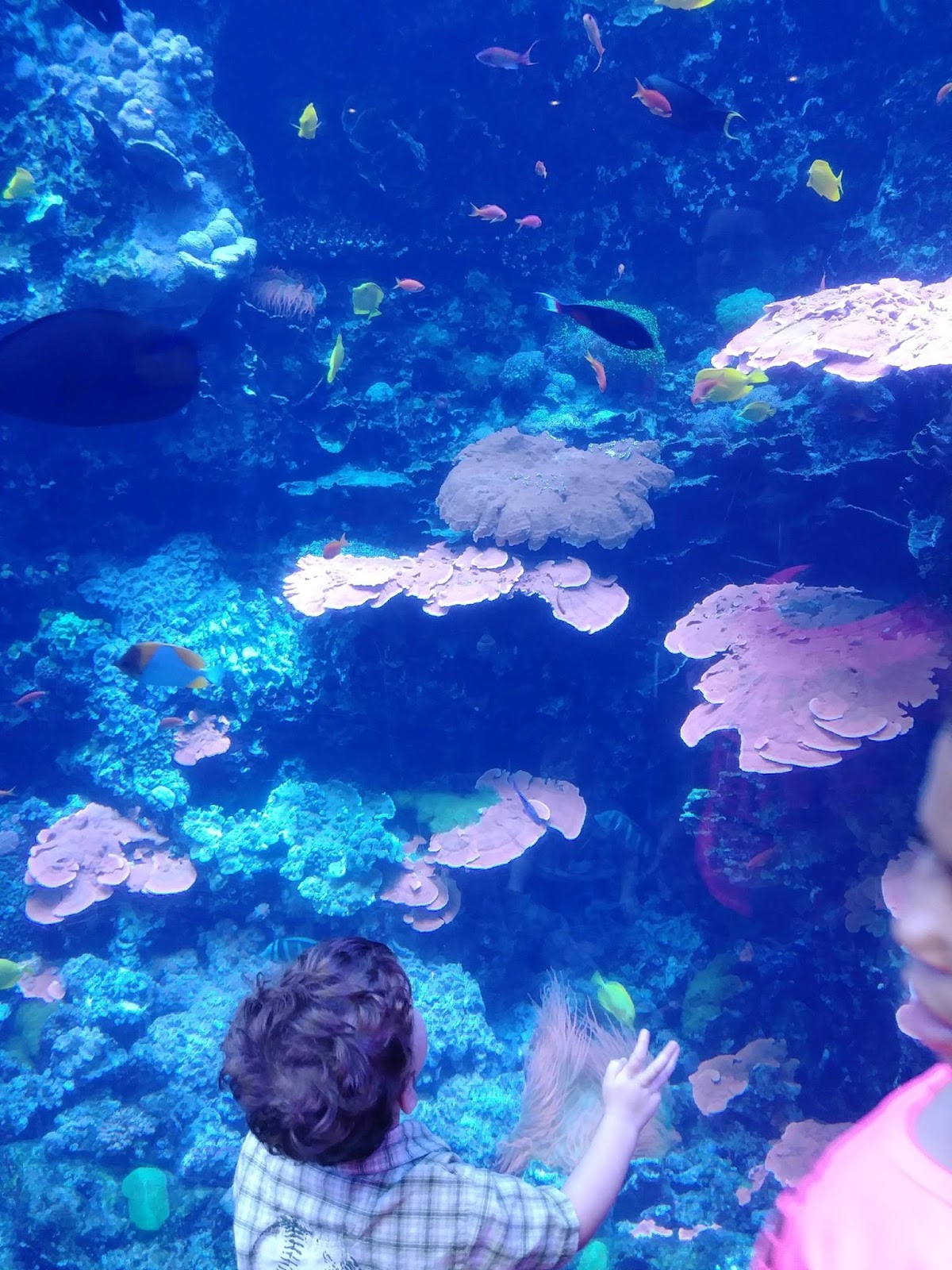 Kindergarten Week 32