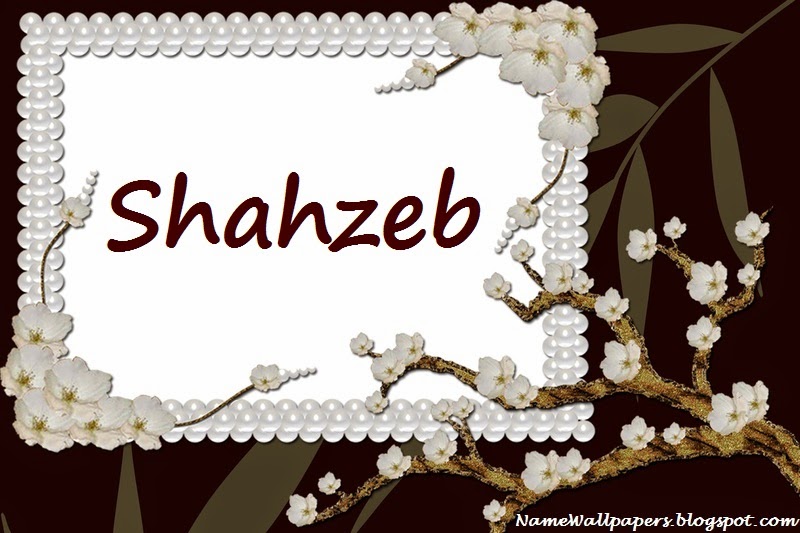 Shahzeb Name Wallpapers Shahzeb ~ Name Wallpaper Urdu Name Meaning Name ...