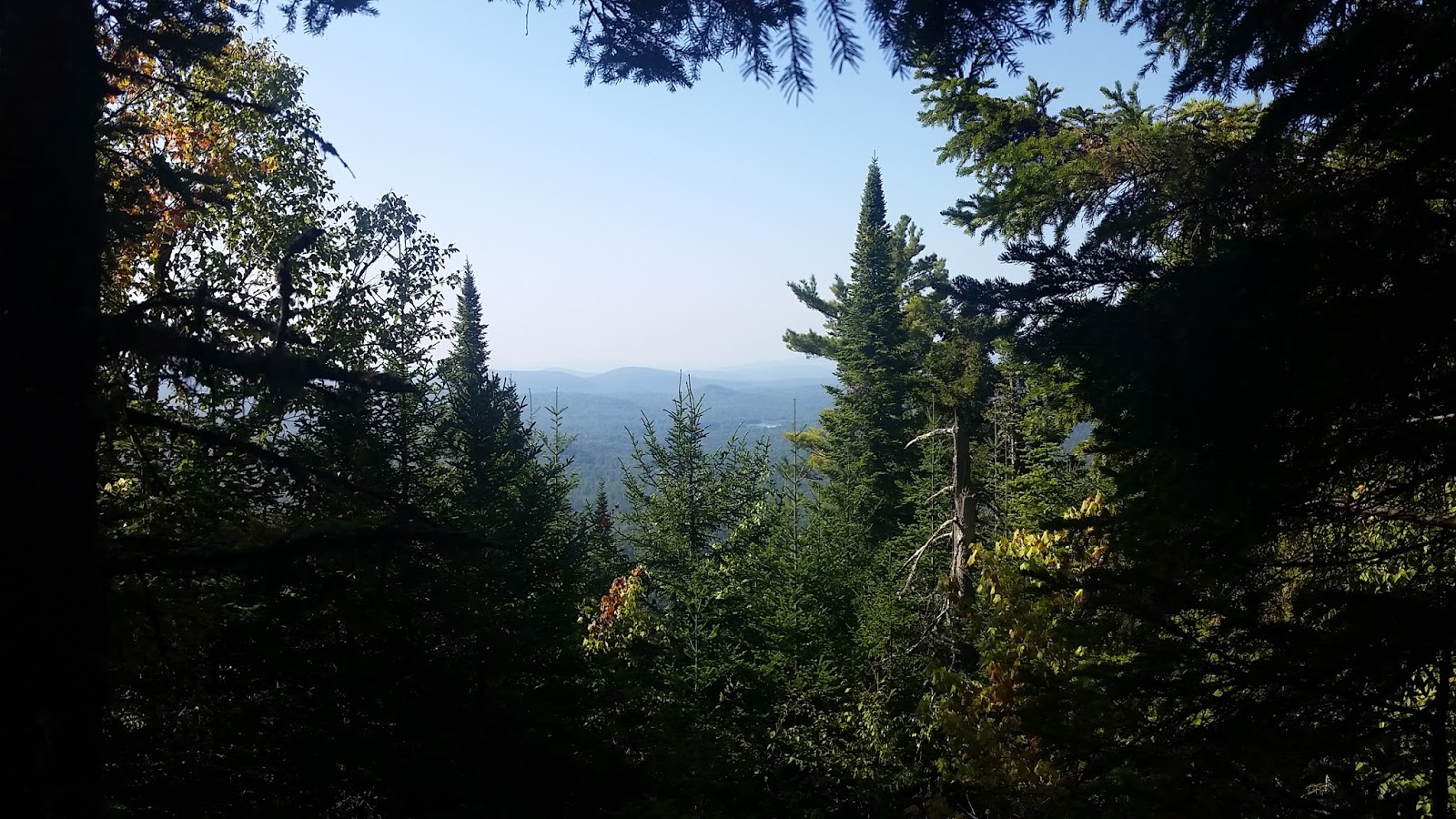 The Hiker Guy: Adirondack Fire Towers: Goodnow Mountain