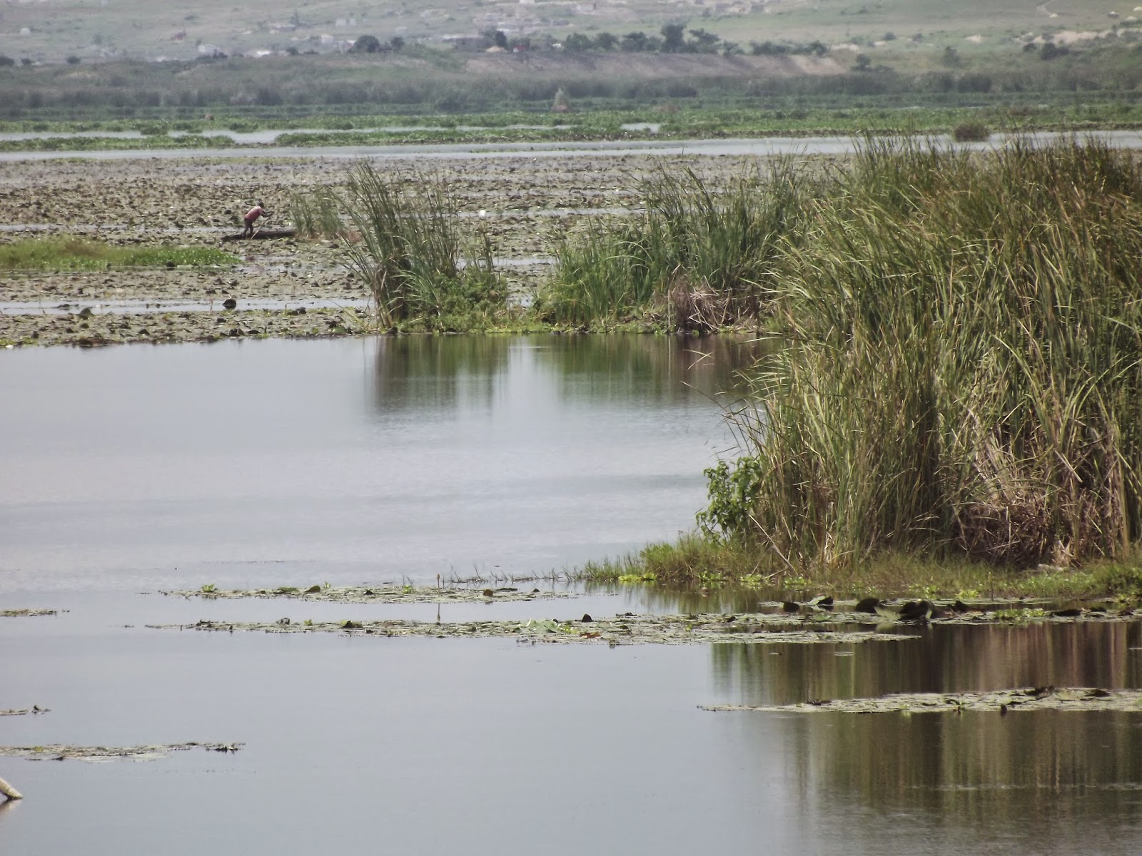 LIVRES PENSANTES: Da Província do Bengo em Angola I