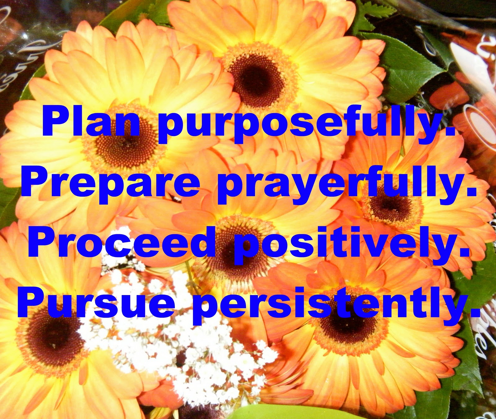 Flowery Blessing: “Four steps to achievement: Plan purposefully ...