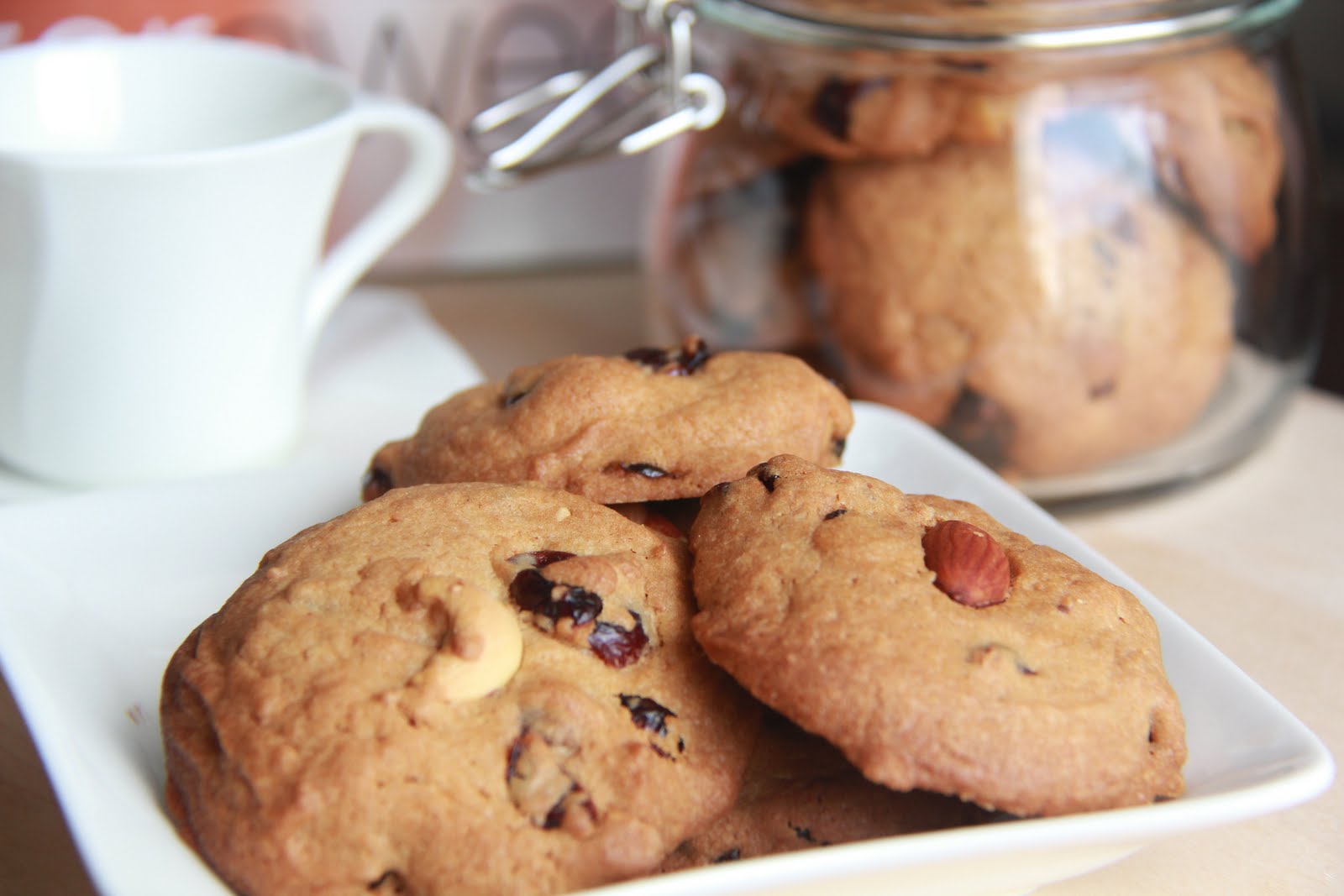 Simple Indulgence: Cranberry Chocolate Nuts Cookies