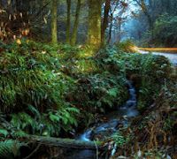 what is environmental geography ~ geography and environment