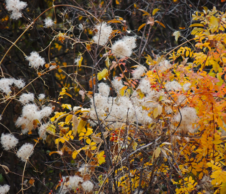 Audrey Finch: The beginning of the end