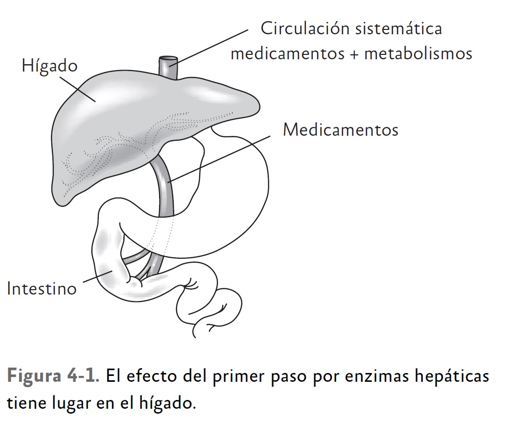 Teamwork Medical Nurse: VÍAS DE ADMINISTRACIÓN DE MEDICAMENTOS