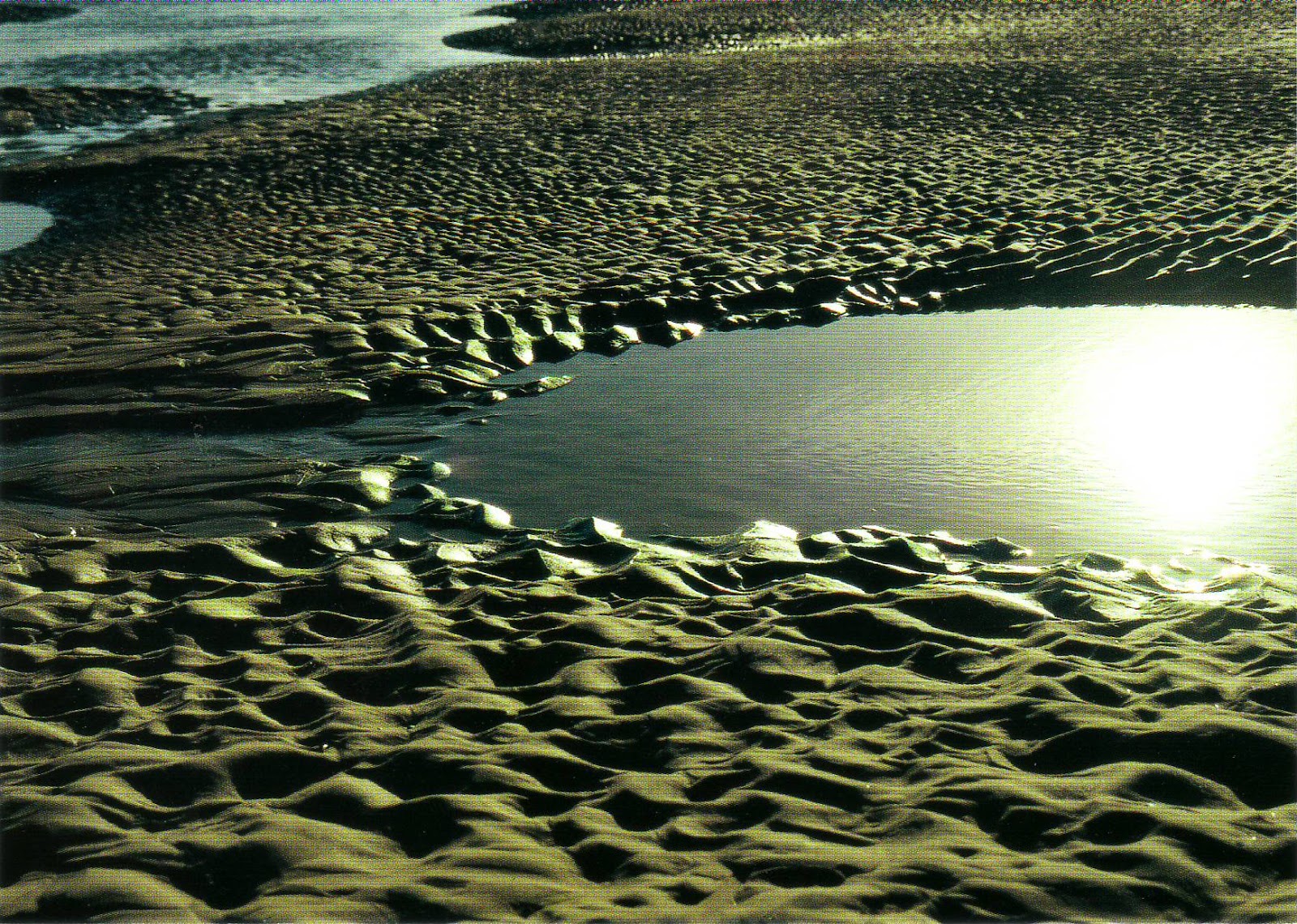 Moonlights UNESCO WHS Blog: Germany - The Wadden Sea