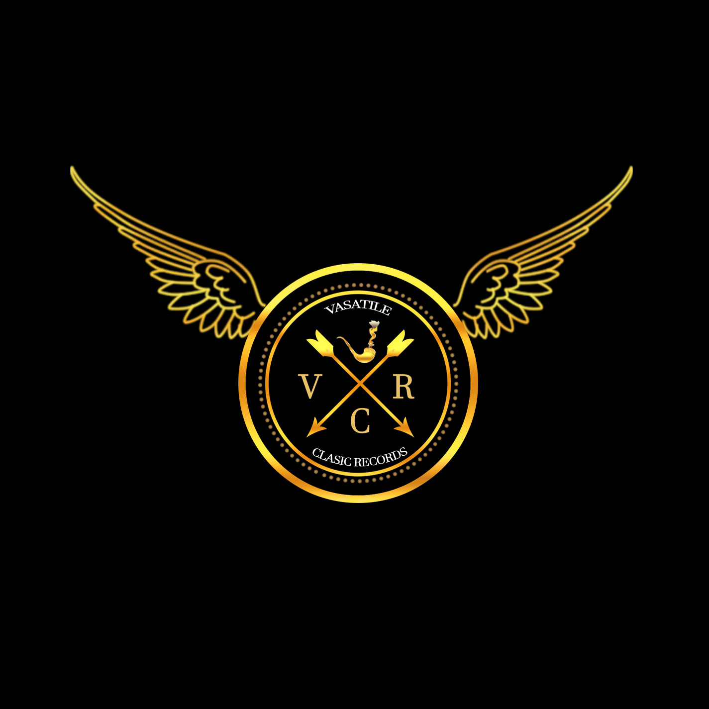 Artfordable Graphics: VCR Logo Branding