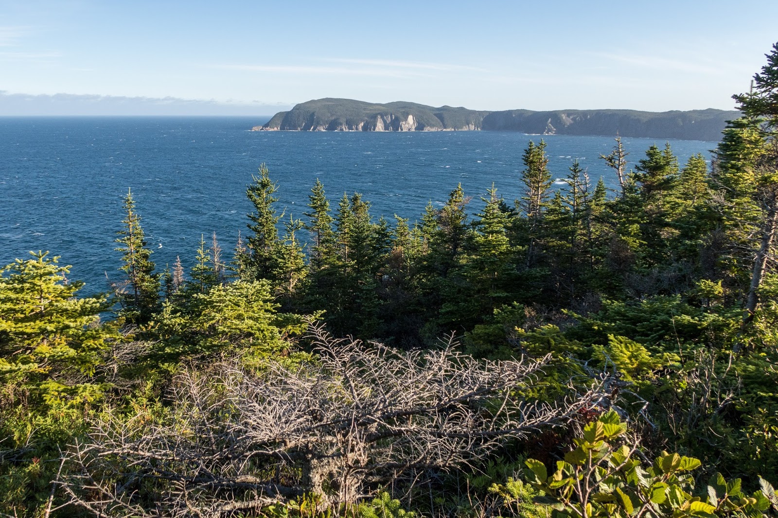 Eric's Hikes: East Coast Trail Day 3: South Cape Broyle Head Trailhead ...