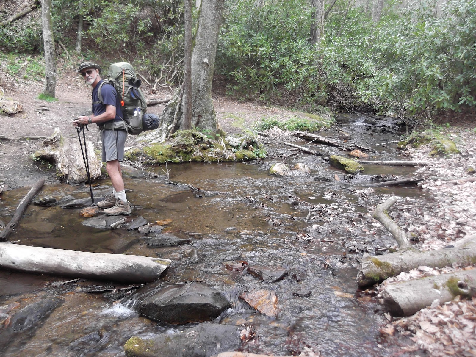 Appalachian Trail Section hiking: Winding Stair Gap to Wayah Shelter