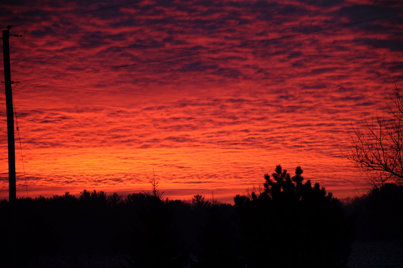 An Adirondack Naturalist in Illinois: Red Sky in the Morning