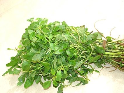 As of Now: Usage of Keerai and How to Live Longer healthily?