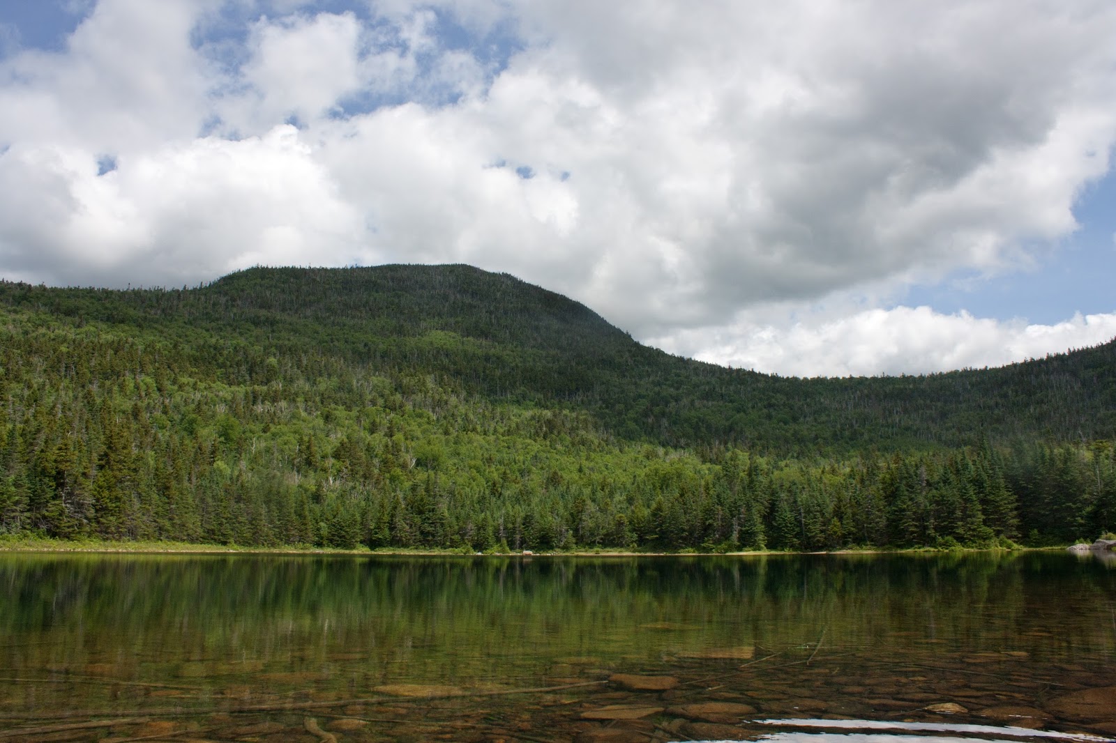 Trout Stream Day Dreams: Journey to a White Mountain Remote Pond
