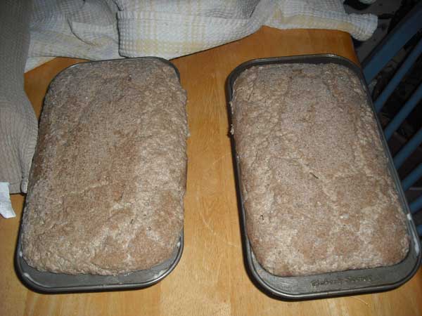 exorphin junkie: Adding Rye Chops and Cracked Wheat to Whole Grain Breads