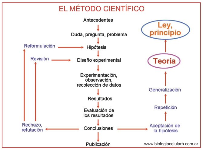 LA CIENCIA AHORA: El Metodo Científico