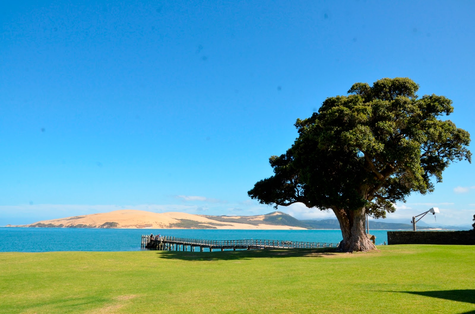 Waitaha Japan: ワイタハジャパンのブログを作成しました