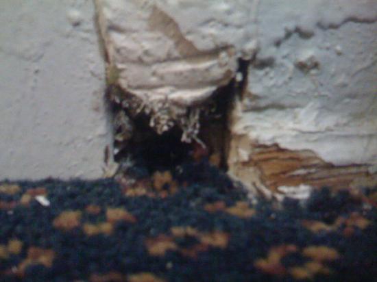 View From The Northern Wall: Mouse Hole