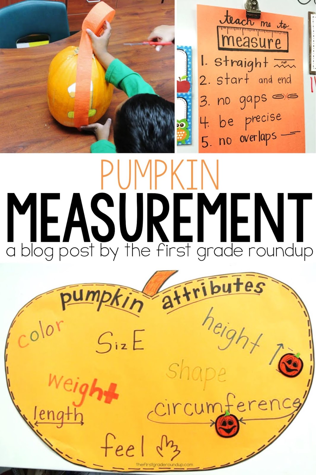 Pumpkin Measuring: Planning for Mistakes - The First Grade Roundup