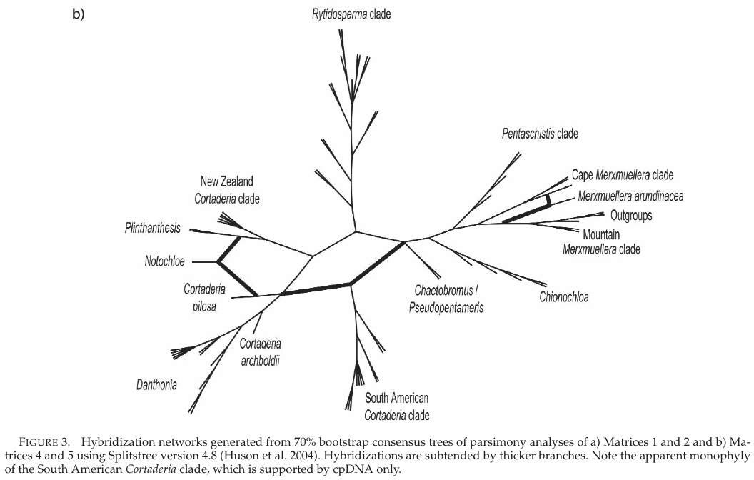 The Genealogical World of Phylogenetic Networks: What are evolutionary ...
