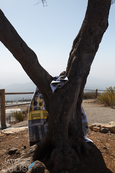 Jaybird Quilts: Radio Way - Quilt Pattern