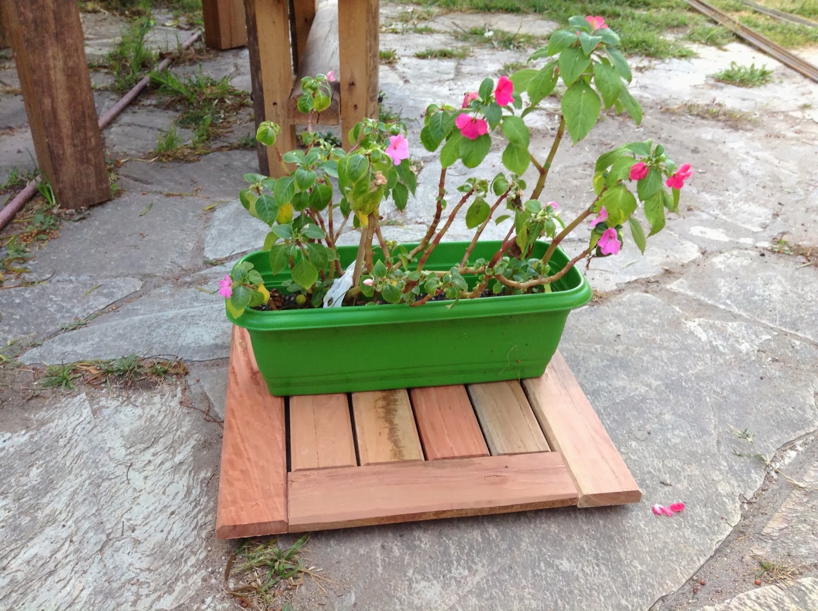 MADERAS y MÁS MADERAS: Baldosas de madera. Eucalipto colorado.