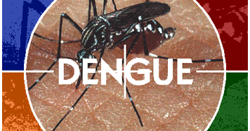 Dengue: sintomas, tratamentos e causas