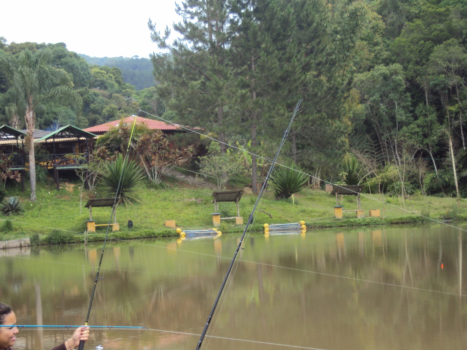 OS PESCADORES TS: pesqueiro triangulo - 03/12/2011