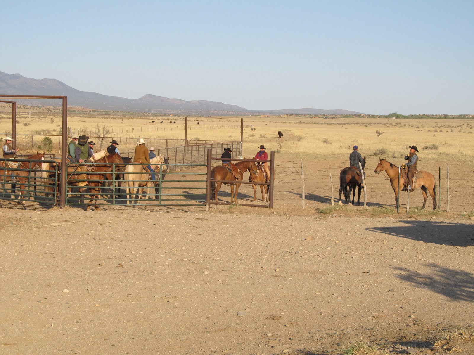 HORSES FOR HEROES New Mexico - Cowboy Up! 505-798-2535: San Cristobal ...