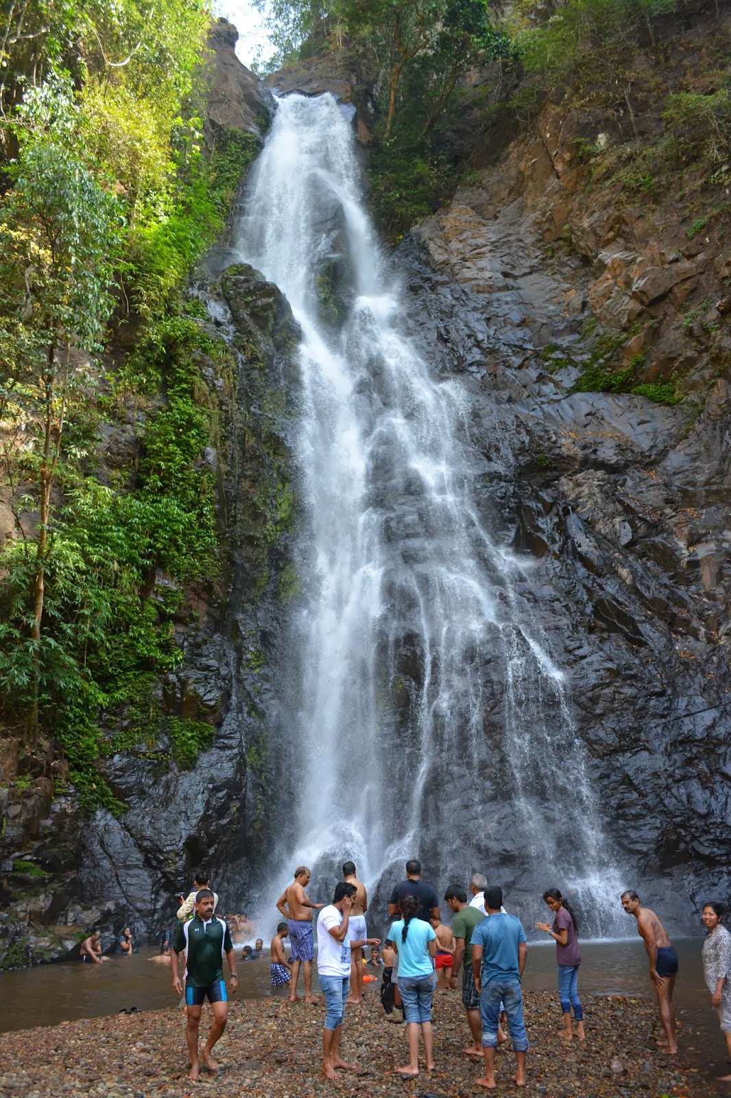 Eco Trek to Mainapi Waterfalls , Netravali, Sanguem, Goa | Journey of F&B