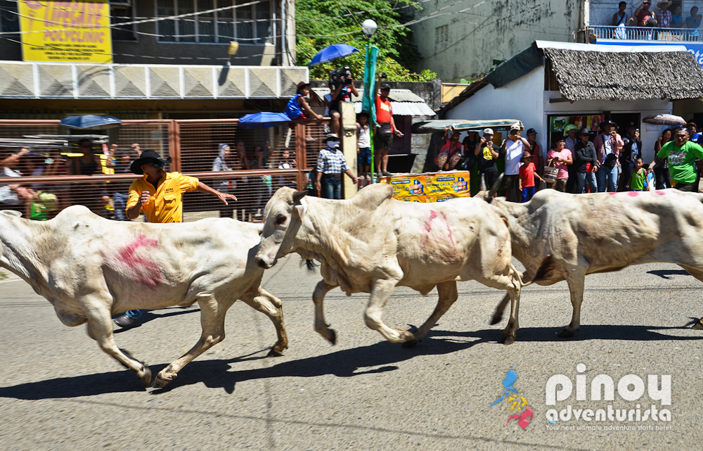 RODEO FESTIVAL Experience in Masbate City | Blogs, Travel Guides ...