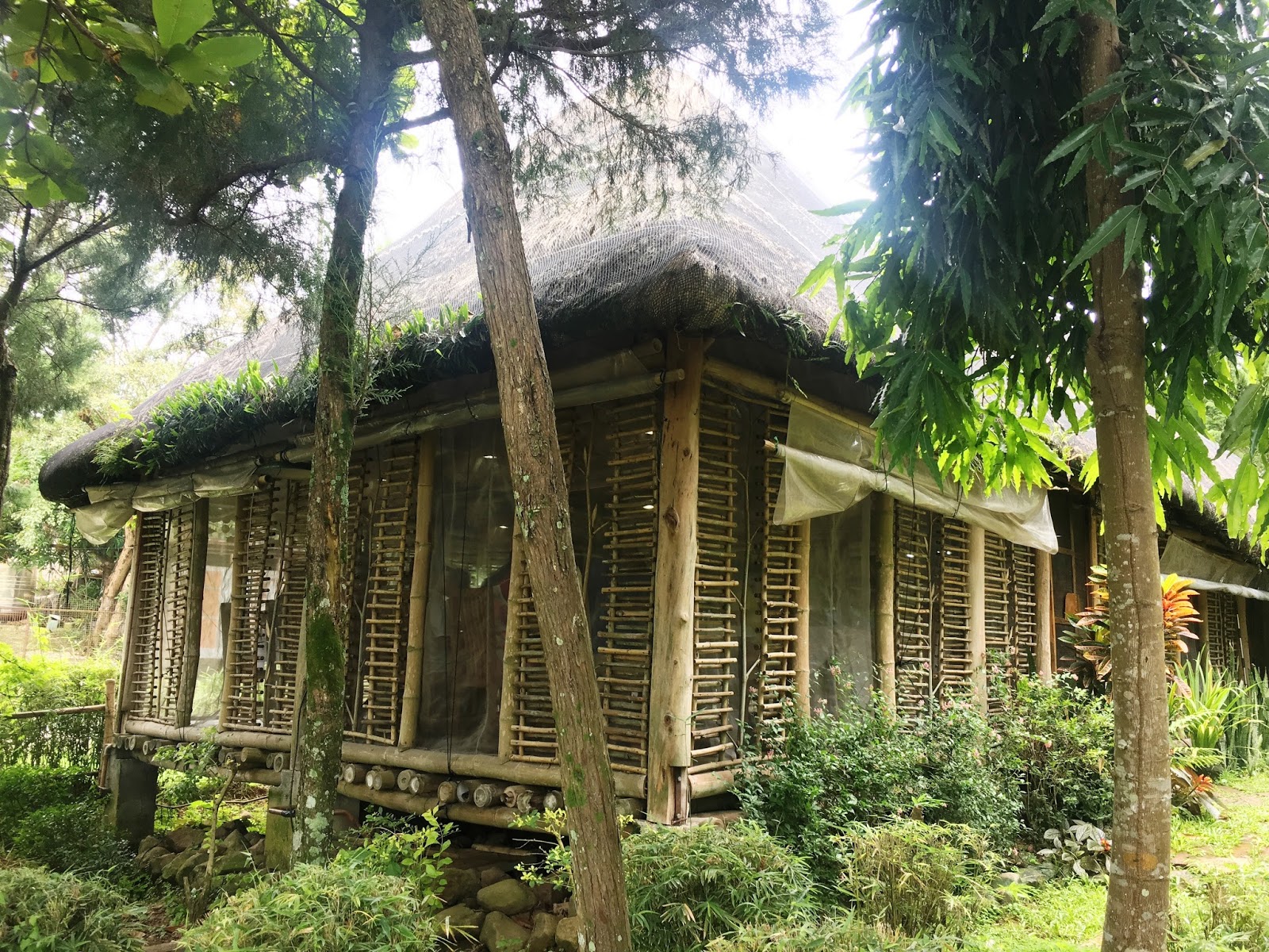 Bicolano Penguin: KAWAYAN FARM RESTAURANT: A Pleasant Surprise in the ...