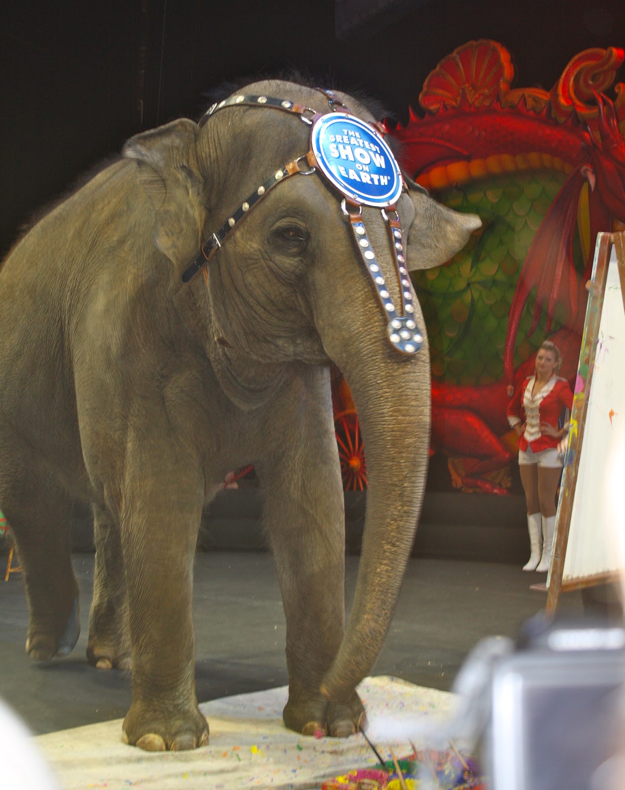 A Joyful Girl...: A Pyramid of Pachyderms