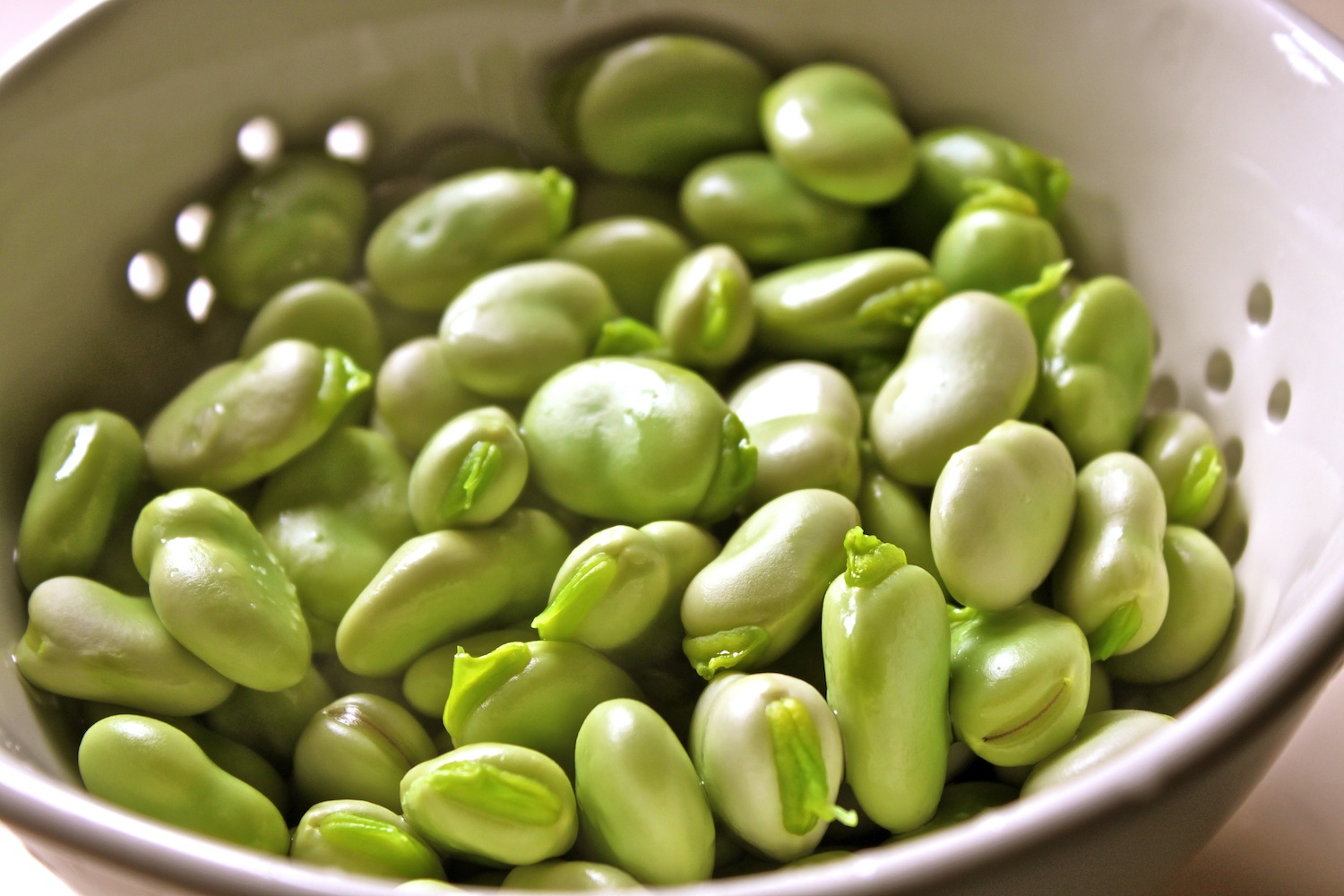 apetites e moderações: Favas