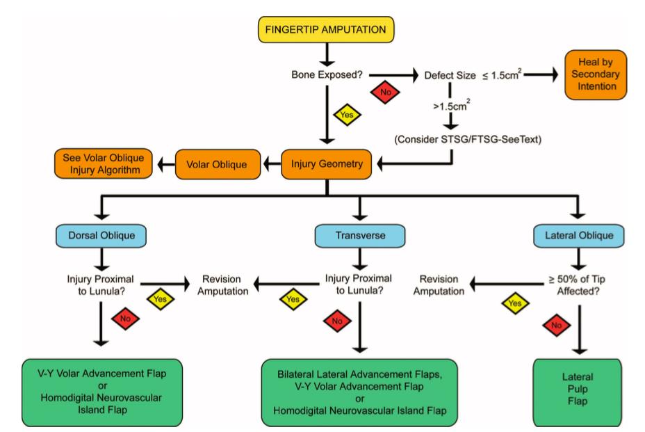 BEDAH UMUM FKUI: Trauma Jaringan Lunak (Fingertip Injury)