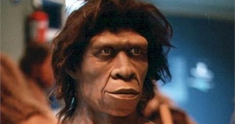 Ο Homo erectus «εφηύρε» τον λόγο και έτσι μπόρεσε να ταξιδέψει - Ανασκαφή