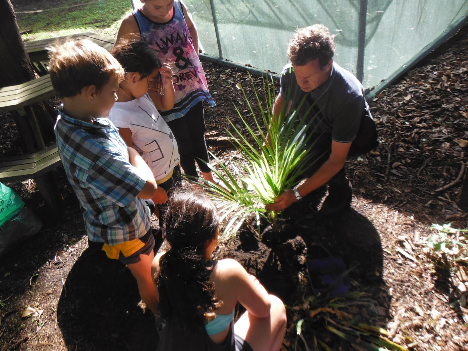Taranaki Enviroschools: Planting day at Hawera Primary
