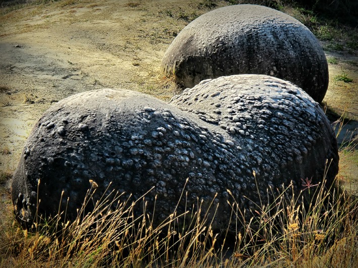 Photographis: Romanian Trovants - Living Stones
