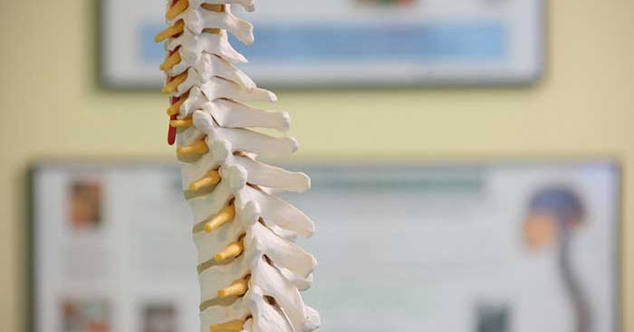 Chiropractic Rehab and Neurology: Is the Lordex Procedure right for you ...