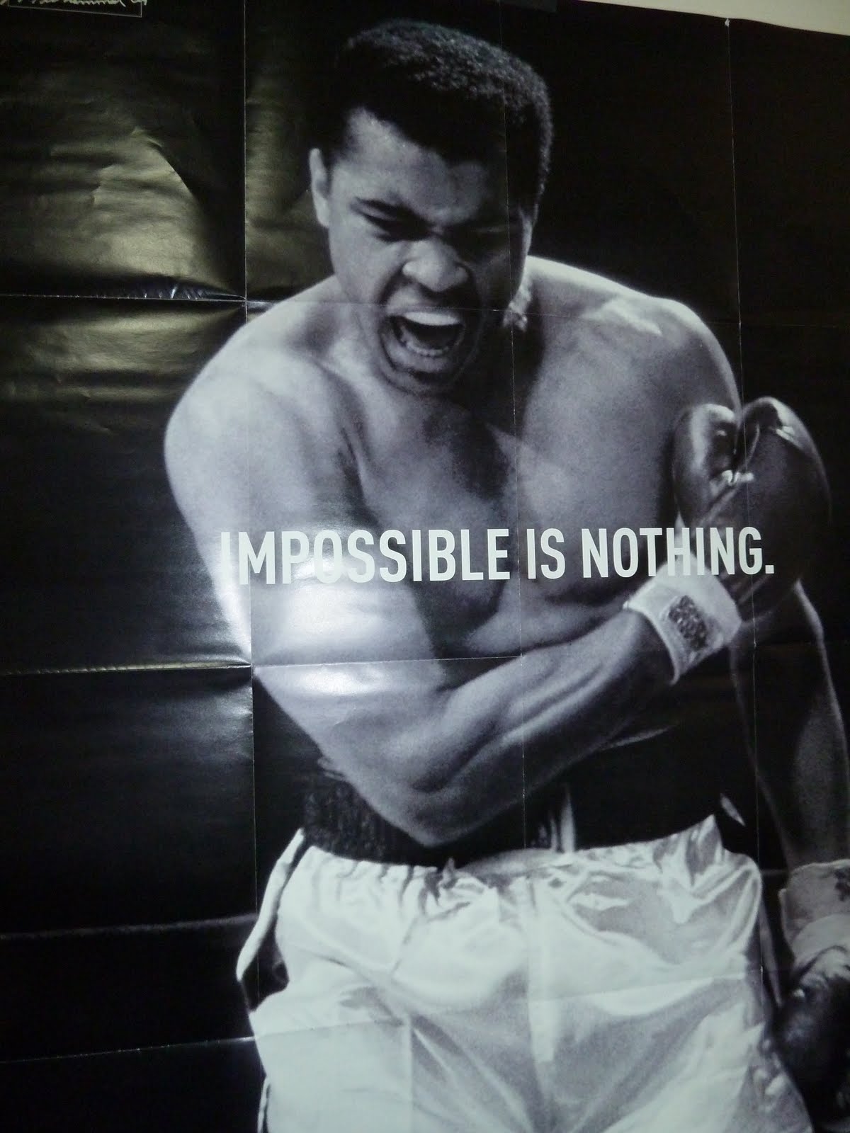 Gravitas Pietas Dignitas: 2/14/10 - 2/21/10