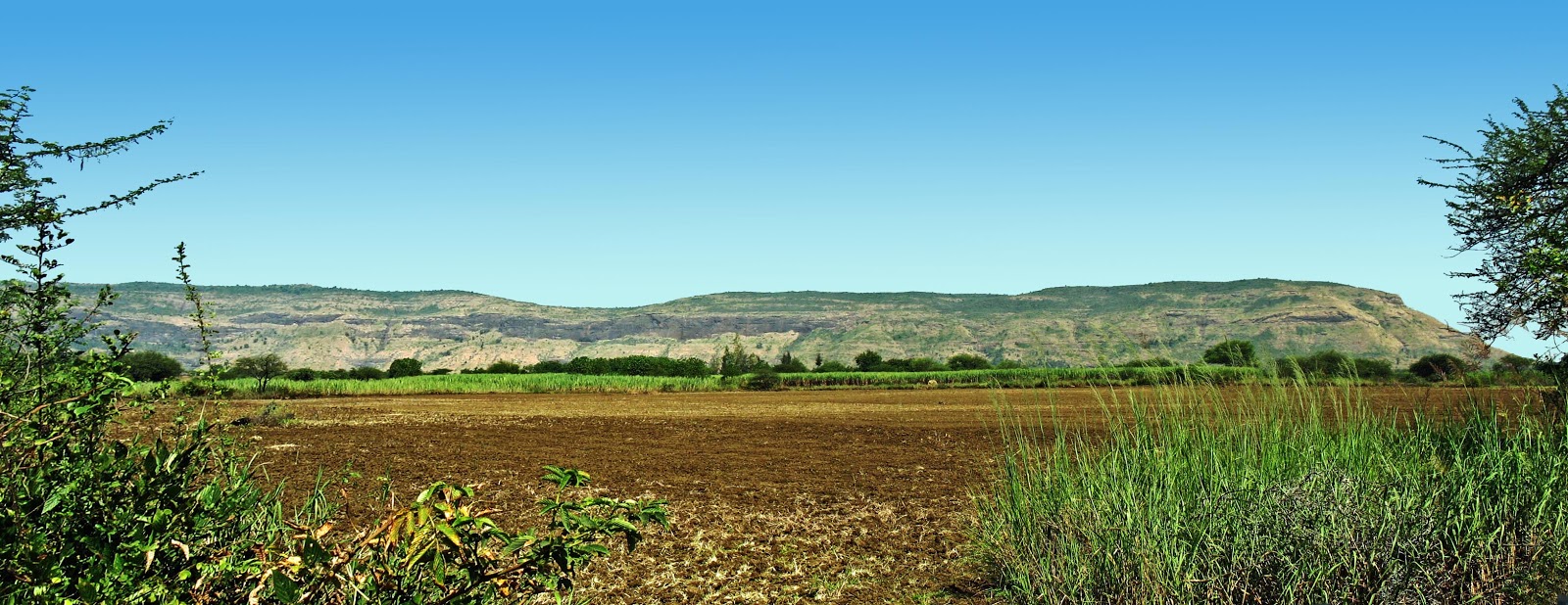 Stock Pictures: Large images of open fields for headers