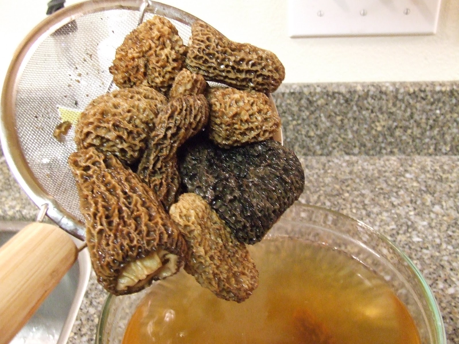The Baked Alaska Project: Morel Mushroom Soup