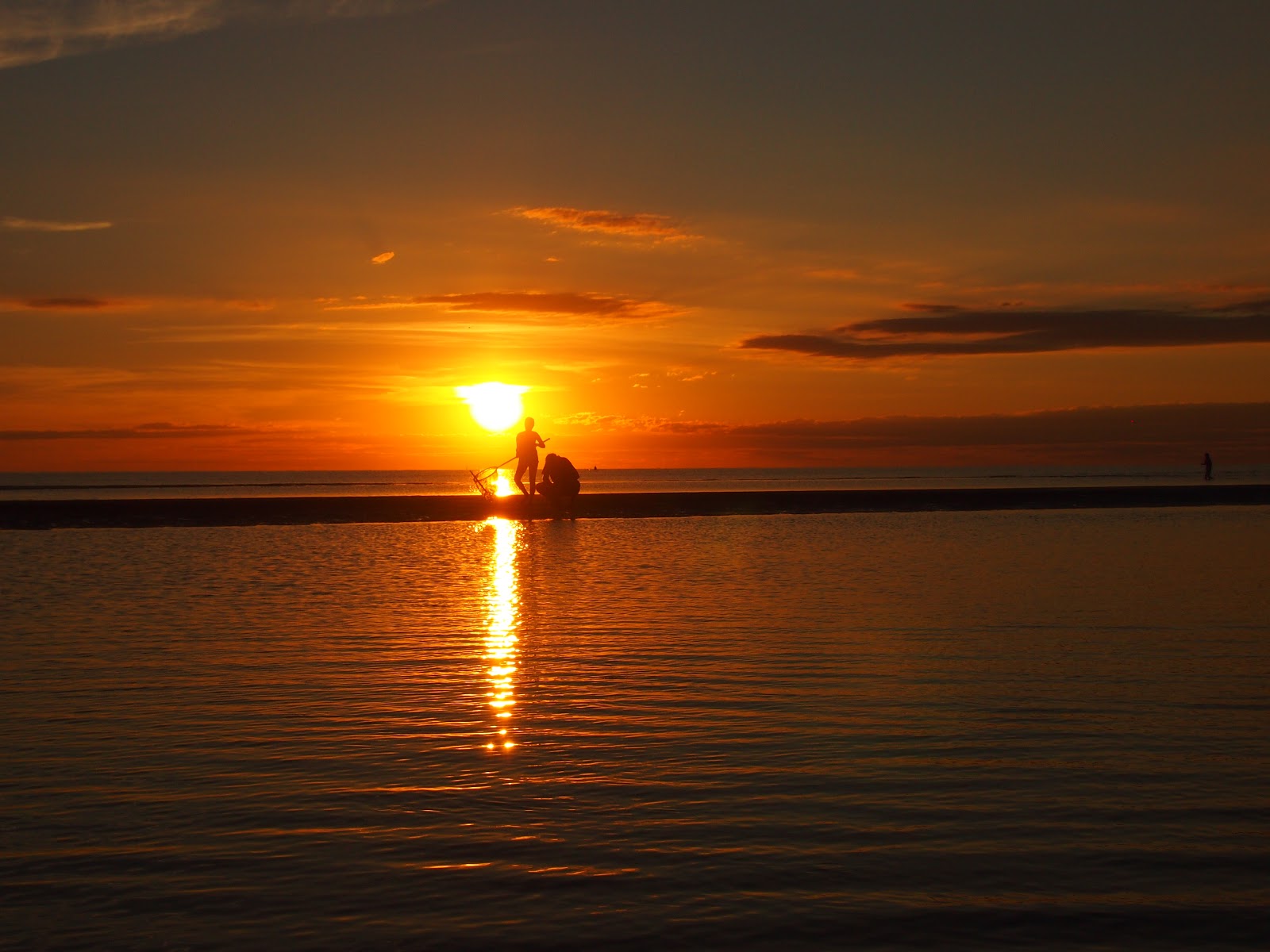 Black Swamp Cornucopia: First Encounter Beach, Cape Cod, Massachusetts