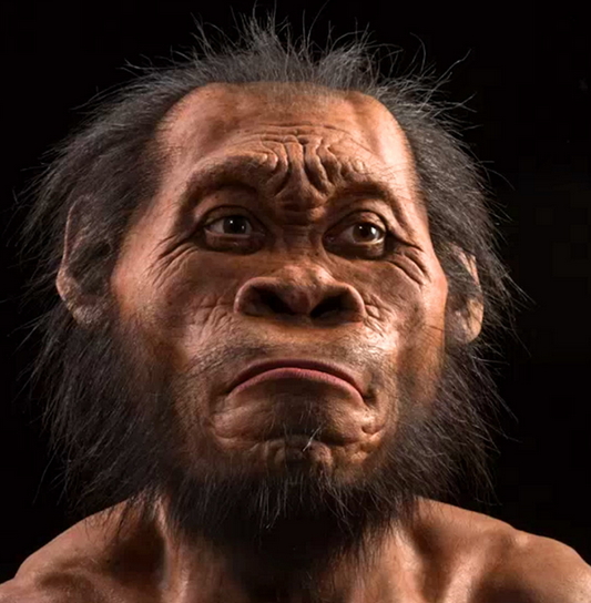 DataPedia: Homo Naledi - Manusia Purba di Afrika Selatan
