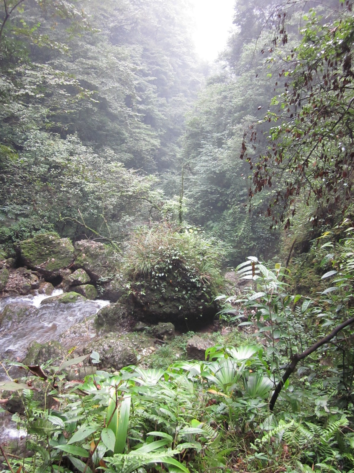 המדריך למטייל בסין: טיול ל-Qingchang חושאן, רכבל מפחיד וקונגפו (פנדה)