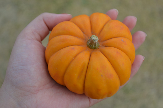 Sidewalk Chic: Pumpkinhead